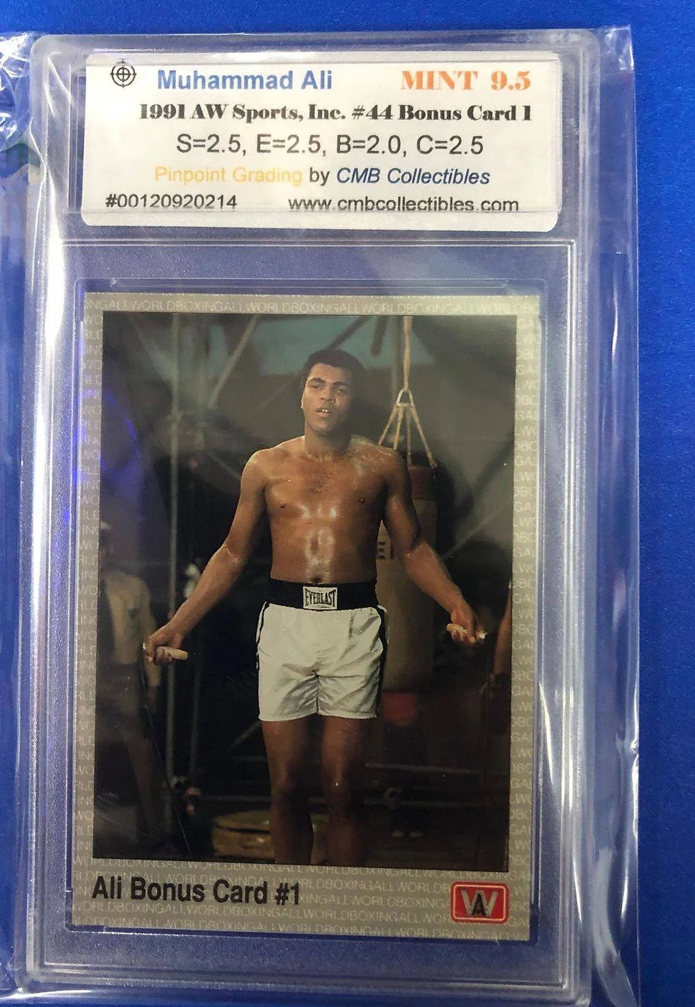 Boxing – CMB Collectibles